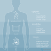 Is the Interstitium the Mysterious Triple Warmer? - RennWellness